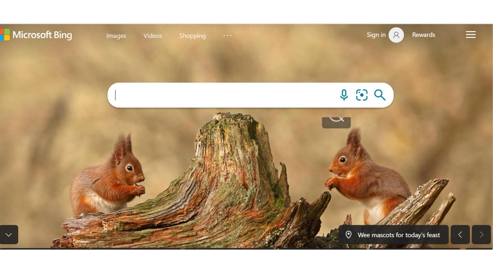 Bing Webmaster Tools - Boosting Your Website's Visibility