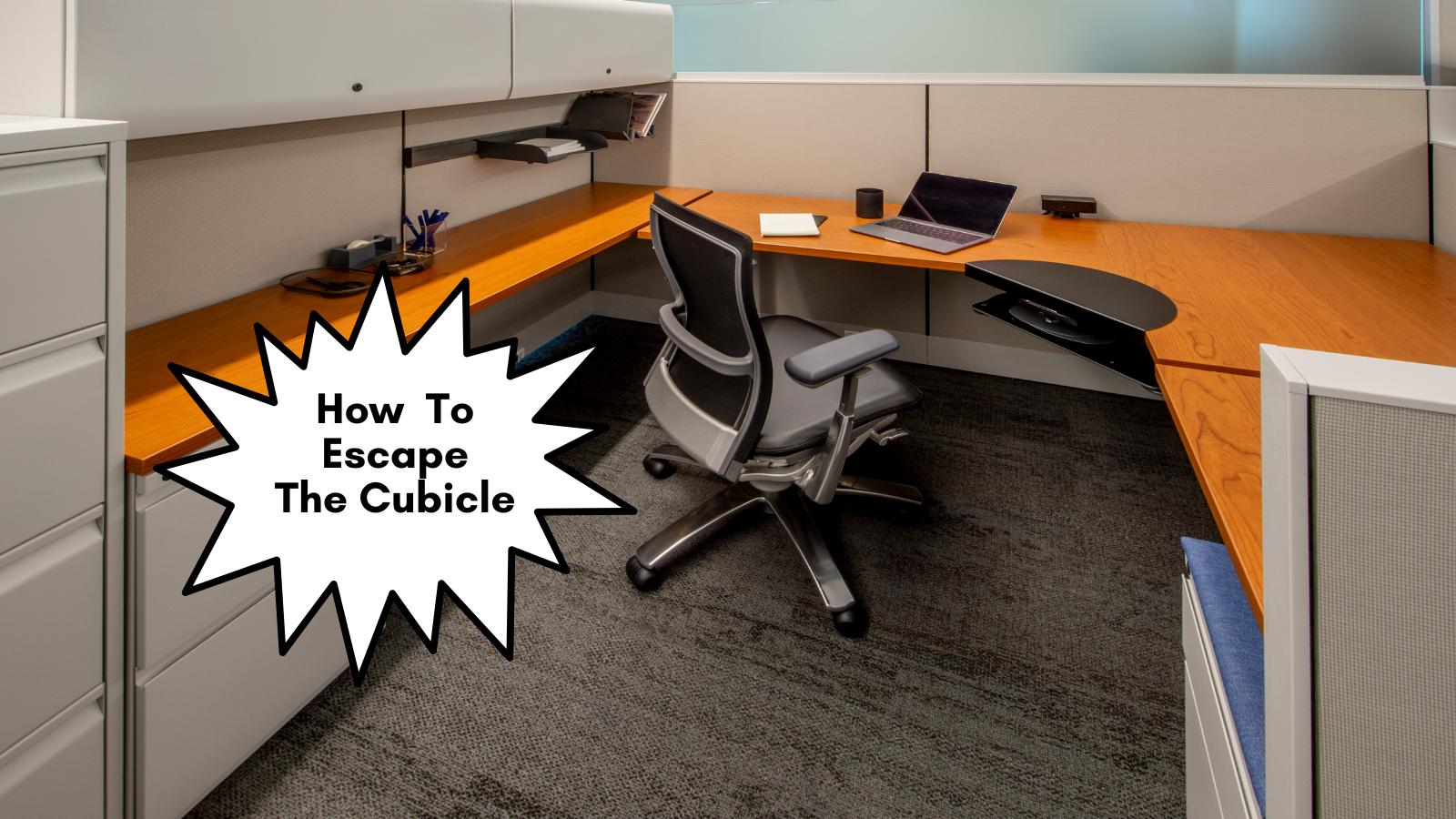 Starting Your Own Online Business: From Cubicle To CEO