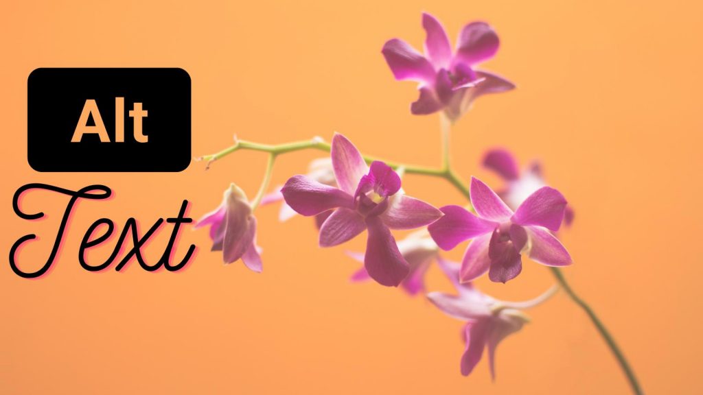 Website Building - Ways To Make It User Friendly To Gain Leads