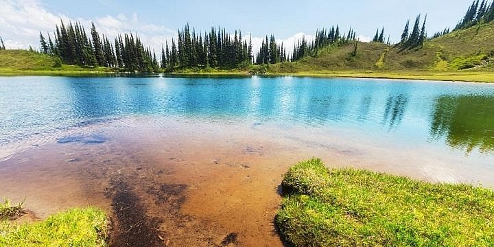 Website Images - Are They Making Your Website's Success?