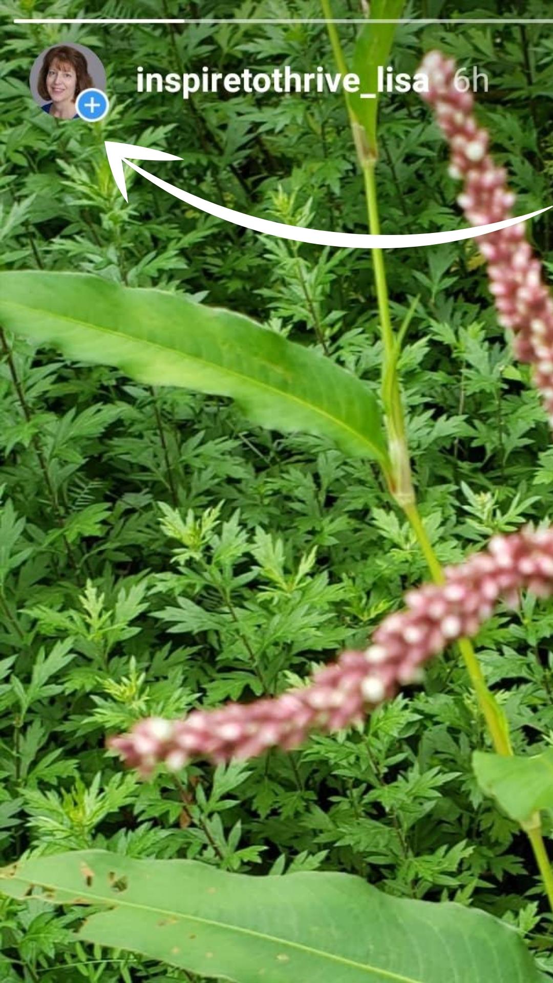 Instagram Reels: Boost Your Engagement with Creative Ideas