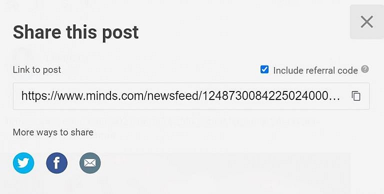 How To Use Minds Social Network - A Twitter Alternative