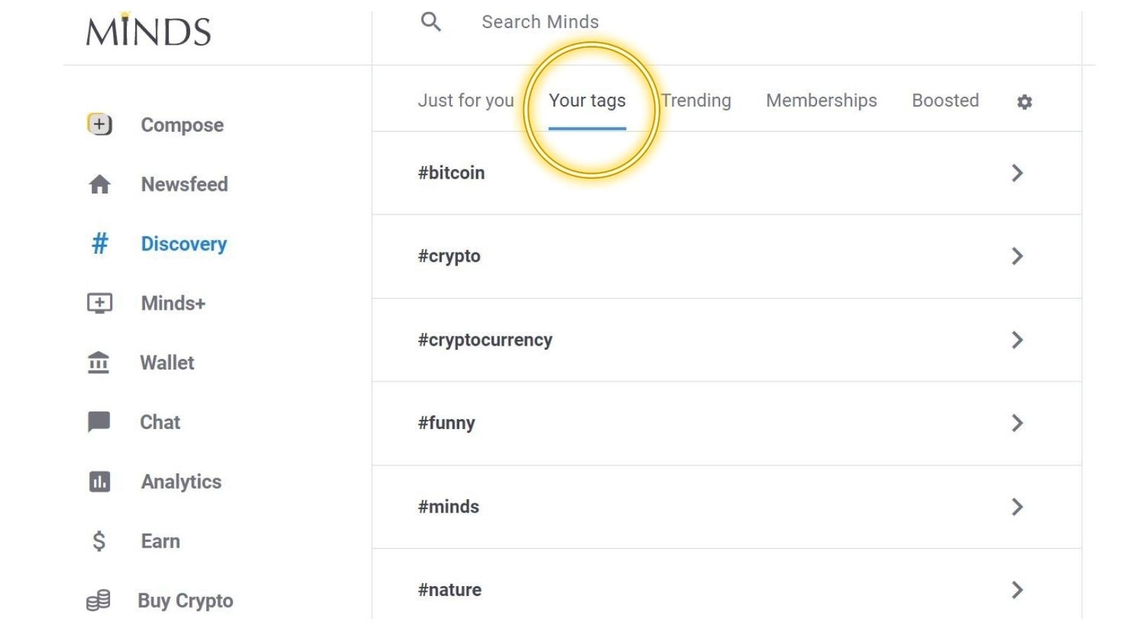 How To Use Minds Social Network - A Twitter Alternative