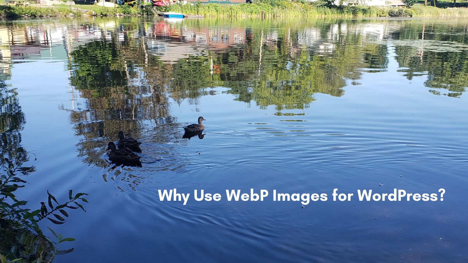 Why Implement WebP Images for Your WordPress Site?