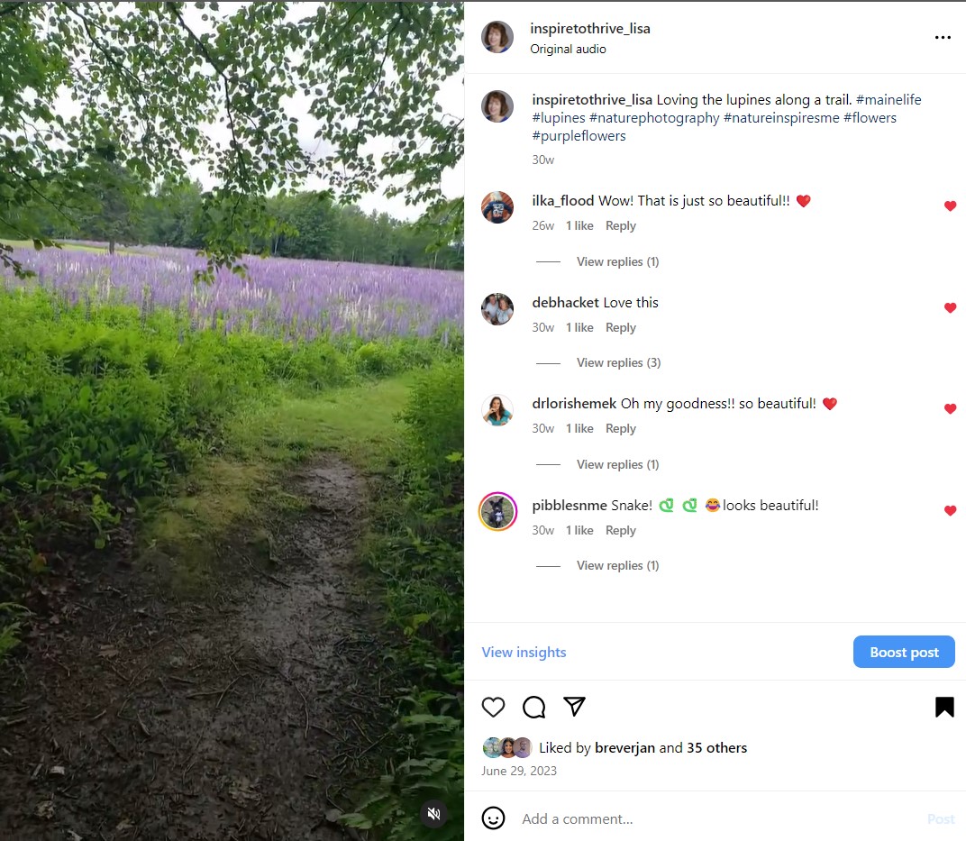 Engaging Social Media Posts: Creating a Winning Strategy