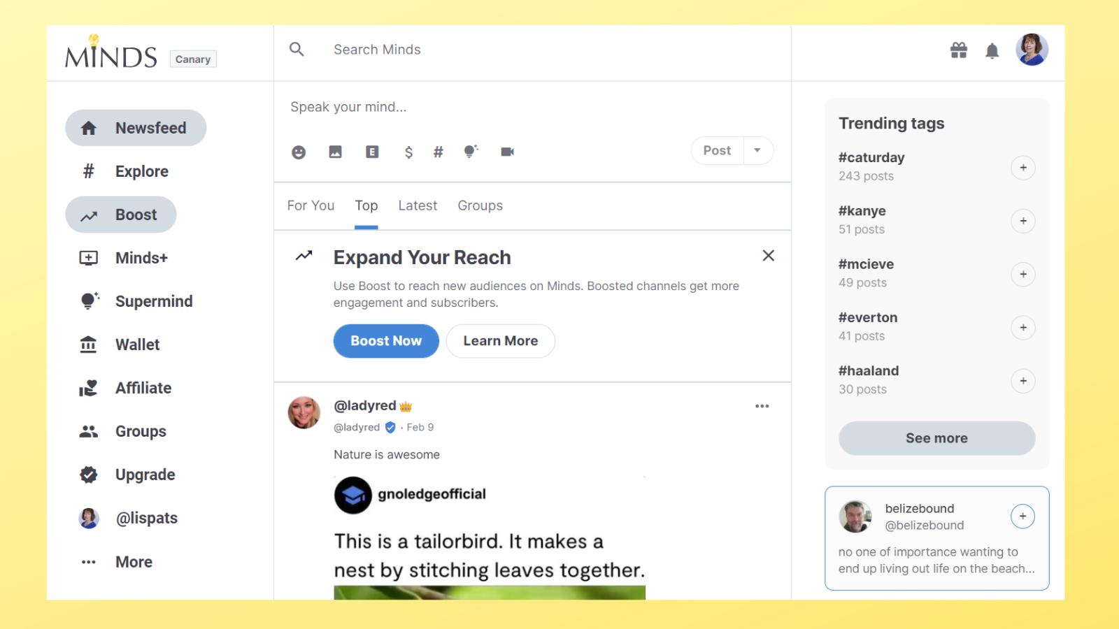 Minds Social Network: The Perfect Alternative to Twitter X
