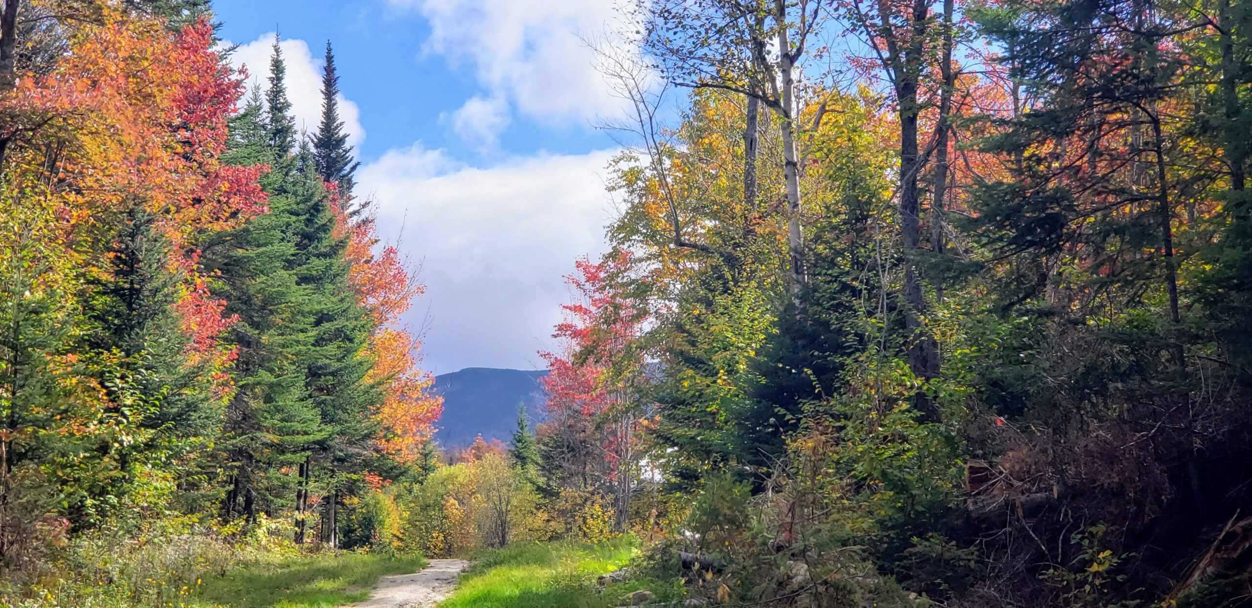 Social Media Breaks: Why You Need Them Now