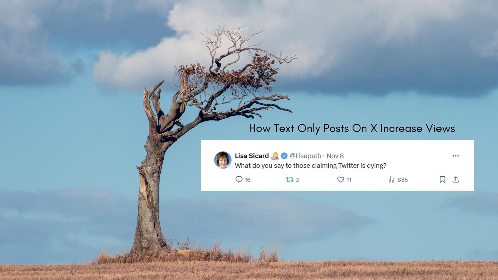 Grab More Views on X Twitter: 9 Tricks for Writing Text Posts