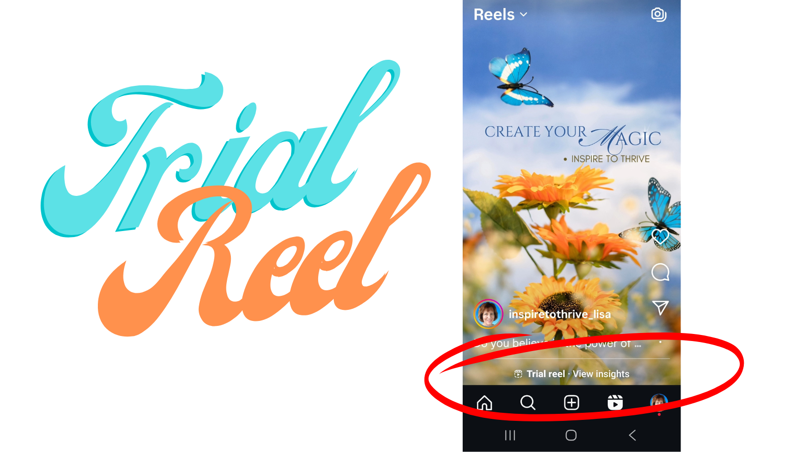 Trial Reels: A New Way to Test Your Ideas on Instagram
